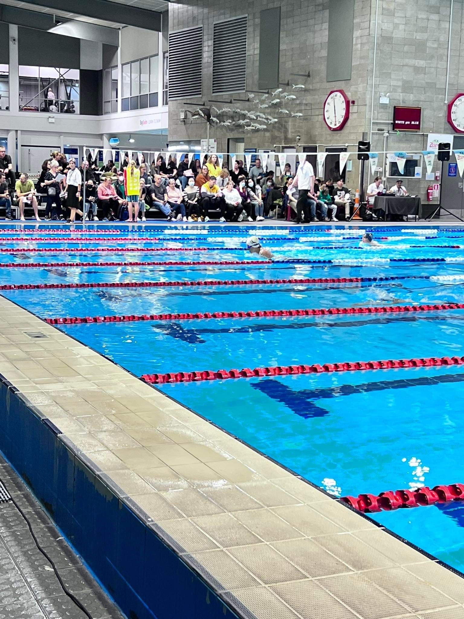 Hamilton Swim Club | Provides a Complete Pathway